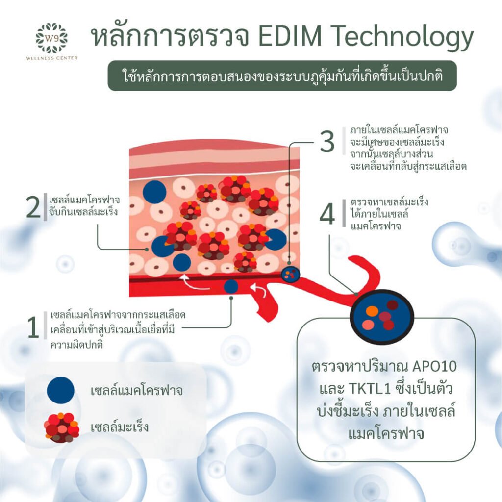 ตรวจหามะเร็ง รู้ก่อน ป้องกันได้ ลดความเสี่ยงโรคร้าย - W9wellness