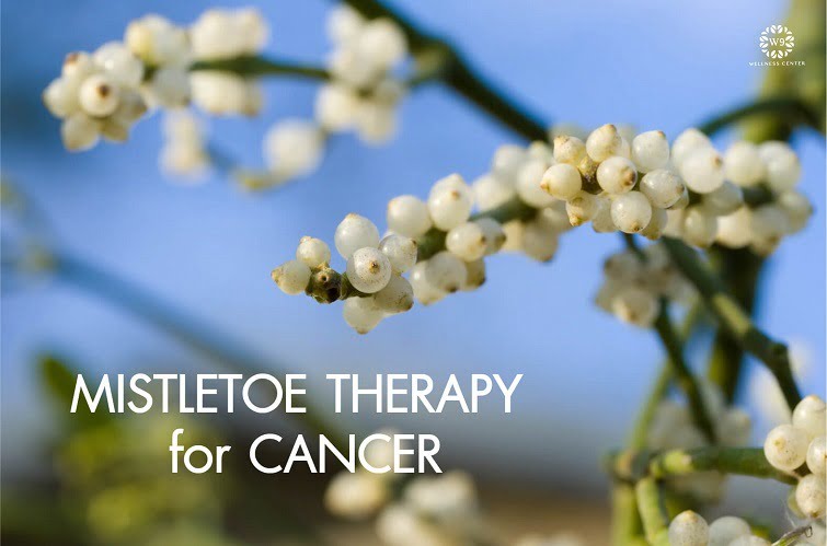 The Miracle of Mistletoe: Fight Cancer Naturally - W9wellness